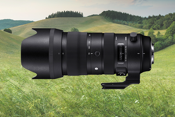 Best Sigma Lenses For Landscape, Portrait & Street Photography