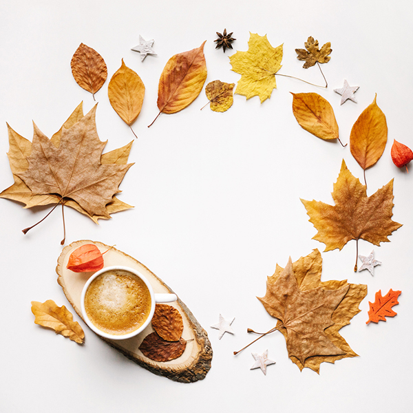 7 Easy Flat Lay Tips For New Photographers (Sample Photos)