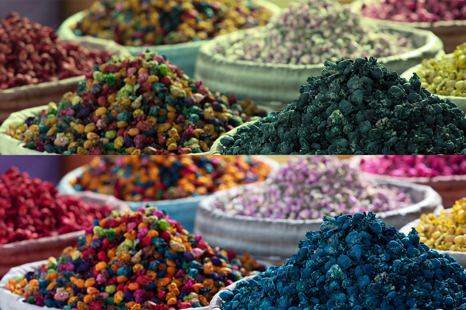 The ZEISS Look – Why Every Photographer Should Try a ZEISS Lens - Focus ...