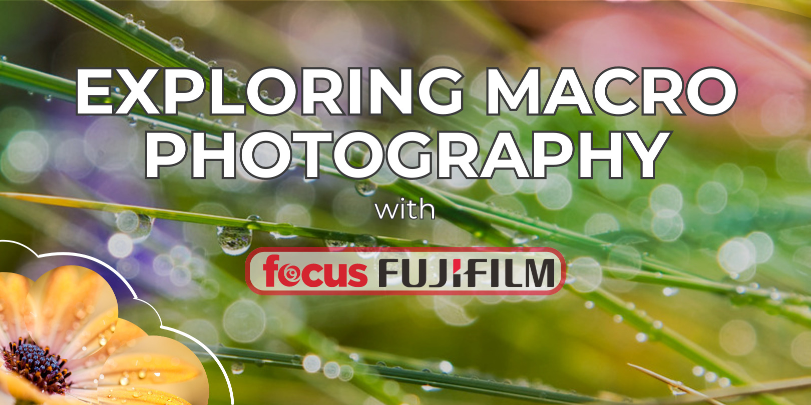 Fujifilm x Focus: Exploring Macro Photography - Focus Camera